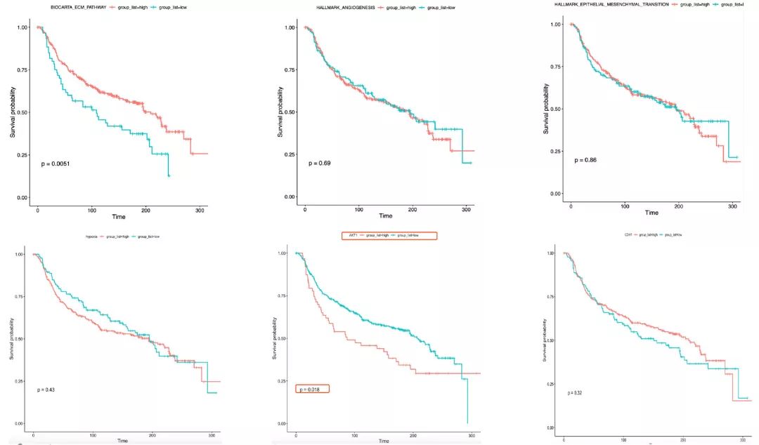 GSVA和生存分析-CSDN博客