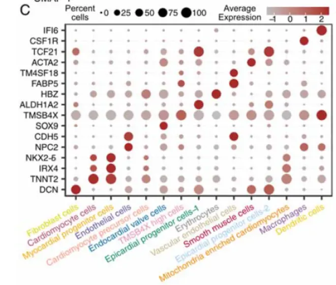 10X单细胞和10X空间转录组联合分析文章分享_单细胞和空间转录组取样-CSDN博客