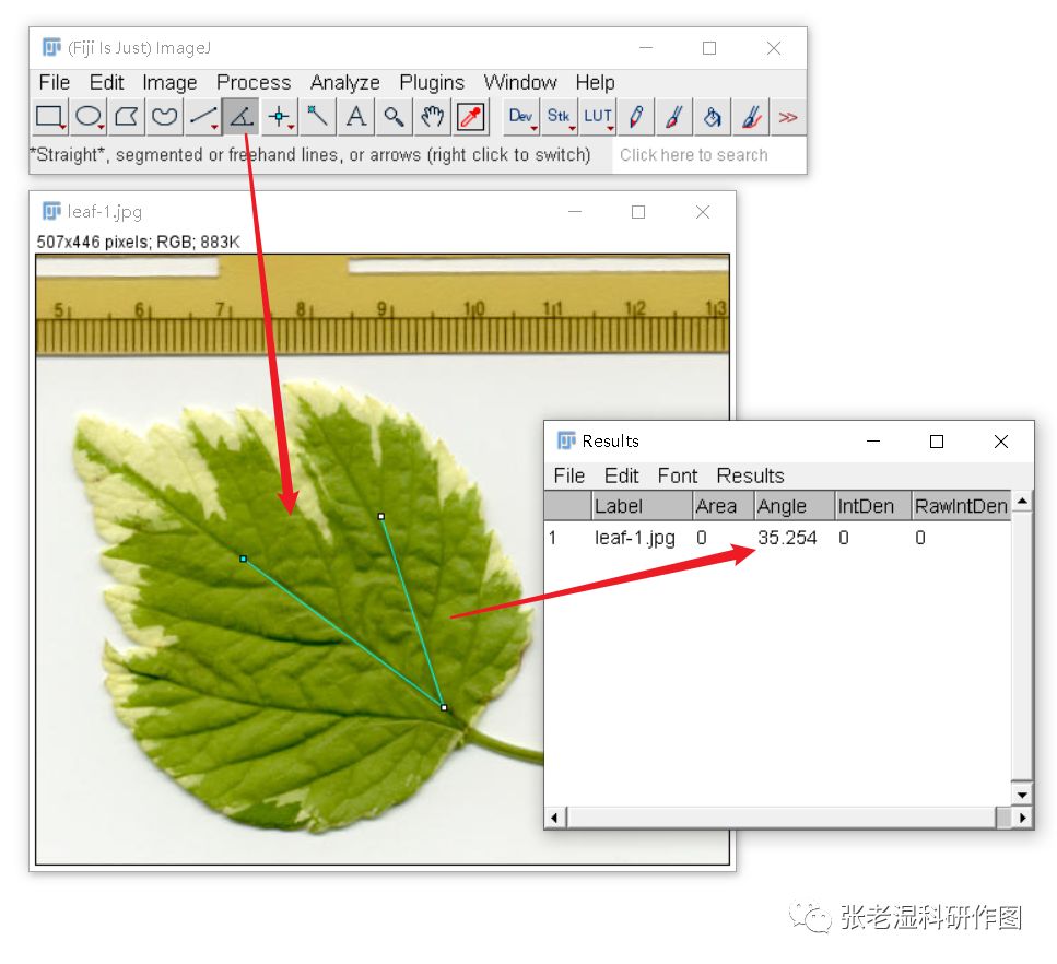imagej旋转图片_Image J角度测量、粒径测量和其他基础测量-CSDN博客