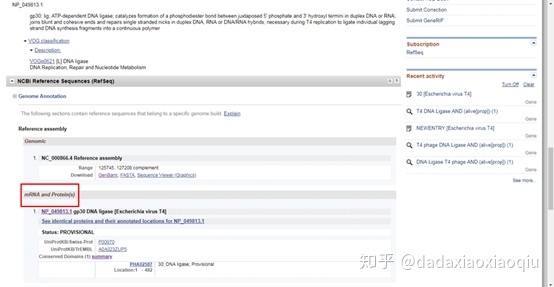 ncbi查找目的基因序列_如何利用NCBI查找某物种的特定基因CDS序列和蛋白序列-CSDN博客
