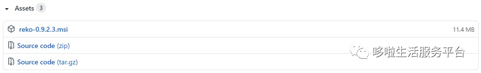 二进制文件的反编译器_二进制反编译-CSDN博客