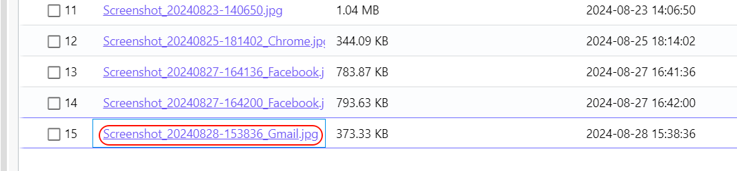 2024年美亚杯（MeiyaCup2024）资格赛writeup_2024美亚杯个人赛writeup-CSDN博客