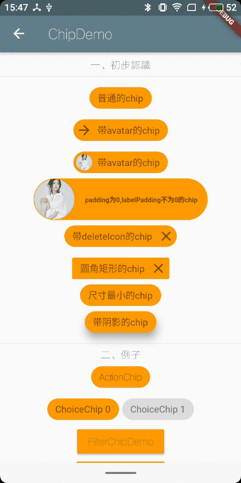 Flutter Chip的使用-CSDN博客