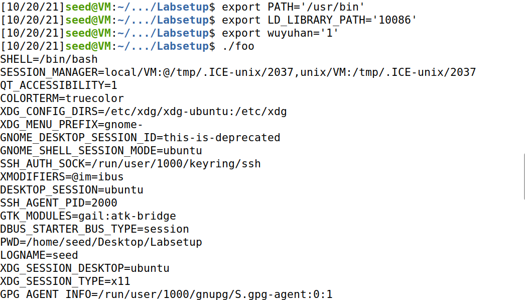 信息安全实验——Environment Variable and Set-UID Program Lab-CSDN博客