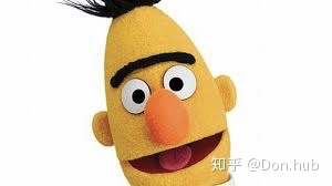 bert中的sep_BERT 详解-CSDN博客