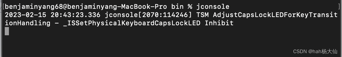 MAC如何使用jconsole和jvisualvm_mac中jvisualvm在哪儿-CSDN博客