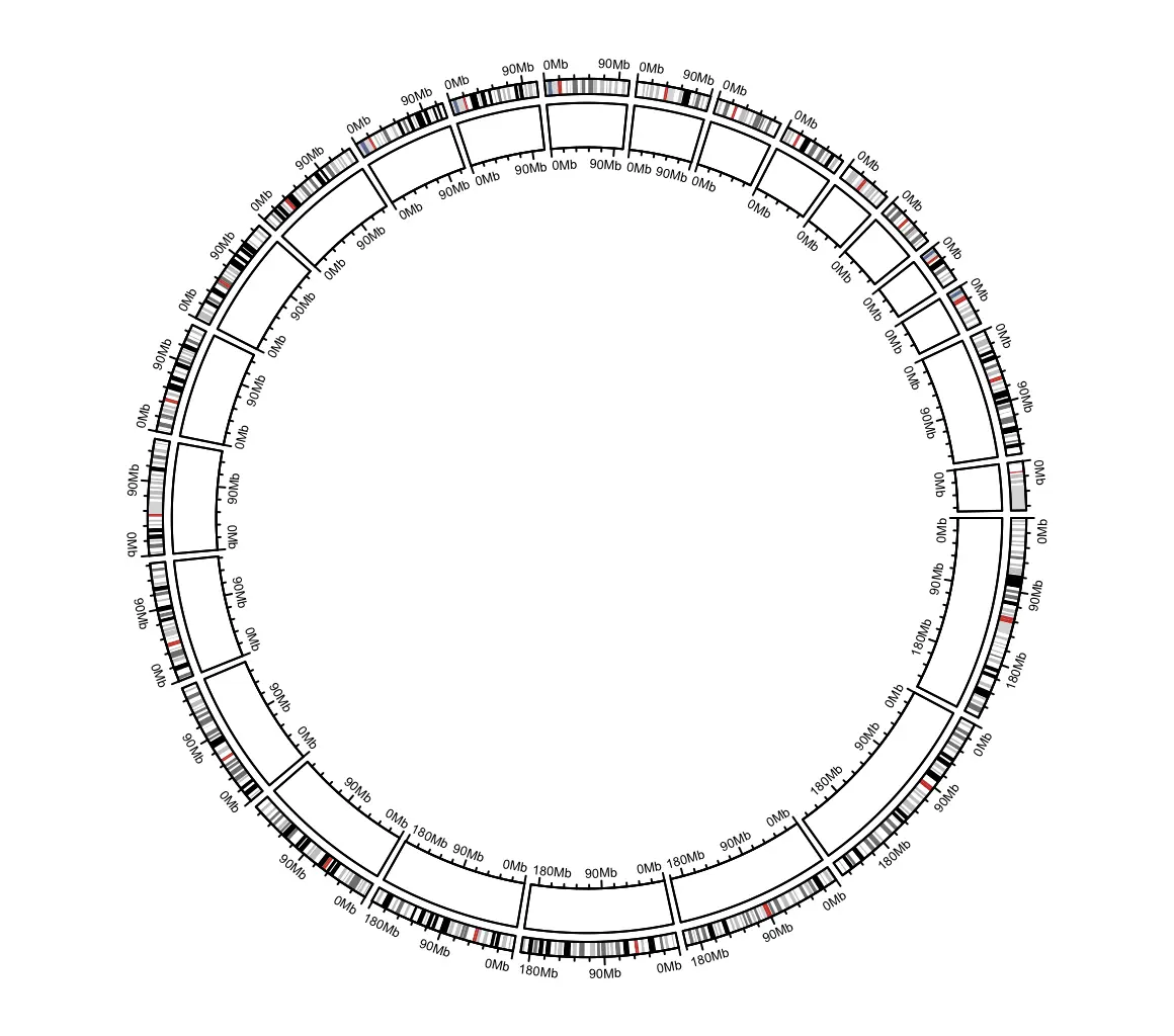 R 数据可视化 —— circlize 基因组高级绘图_使用r进行全基因组circos图-CSDN博客