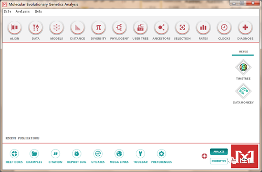 一直在构建版本_利用MEGAX选择模型及构建美化进化树-CSDN博客