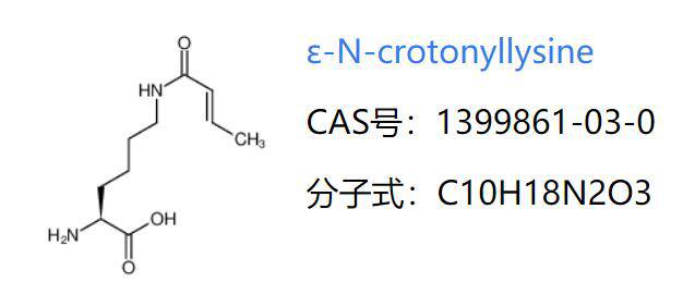 1399861-03-0，ε-N-Crotonyllysine，ε-N-巴豆酰基赖氨酸_巴豆酰基结构-CSDN博客
