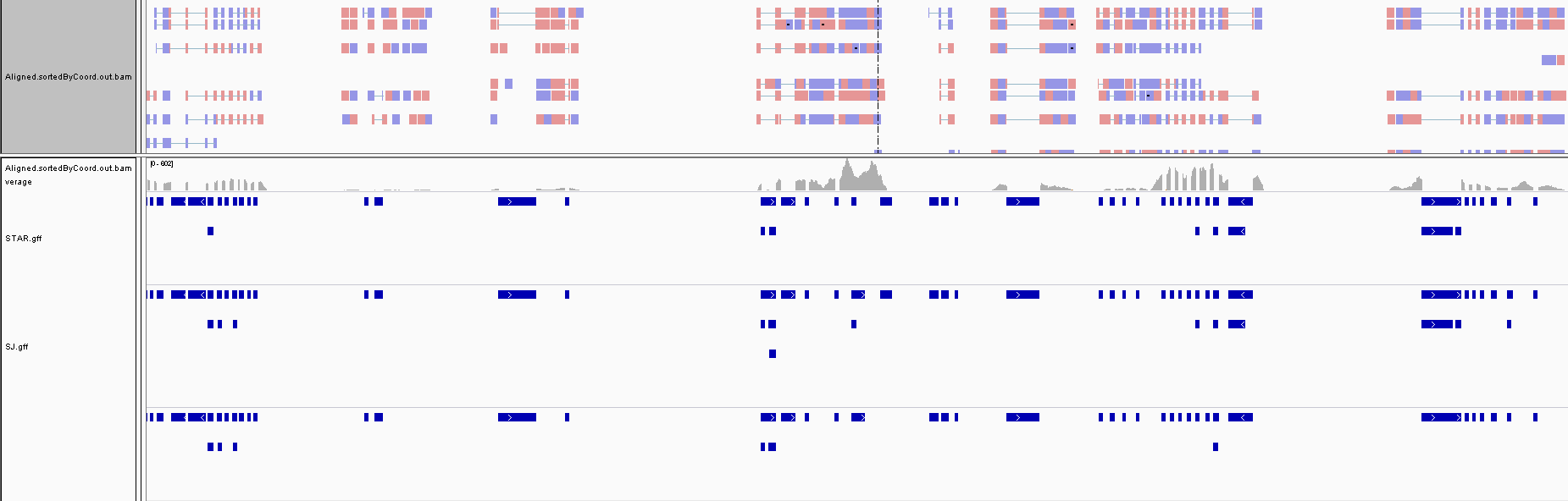 使用MAKER进行基因注释(高级篇之GeneMark-ET模型训练）-CSDN博客