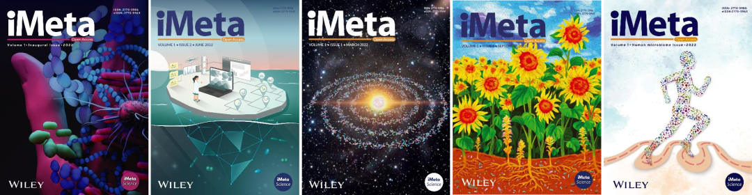 iMeta科学编辑招聘启事(可居家办公，弹性工作)-CSDN博客