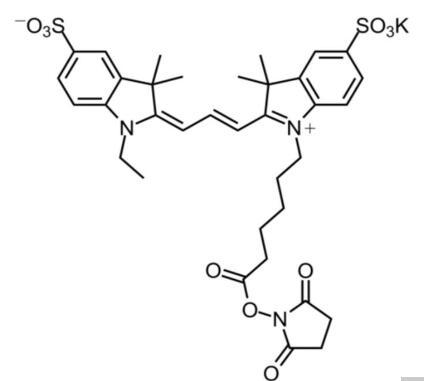 Sulfo-Cyanine3-NHS，146368-16-3，磺基花青素 Cy3 活性酯，一种带有氨基的水溶性染料-CSDN博客