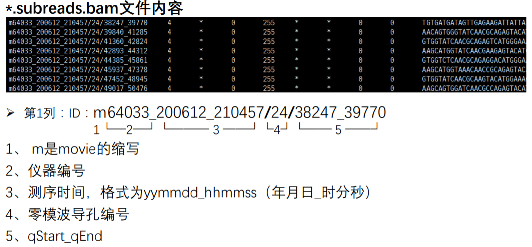 2020.10.14丨ISO-Seq分析_isoseq-CSDN博客