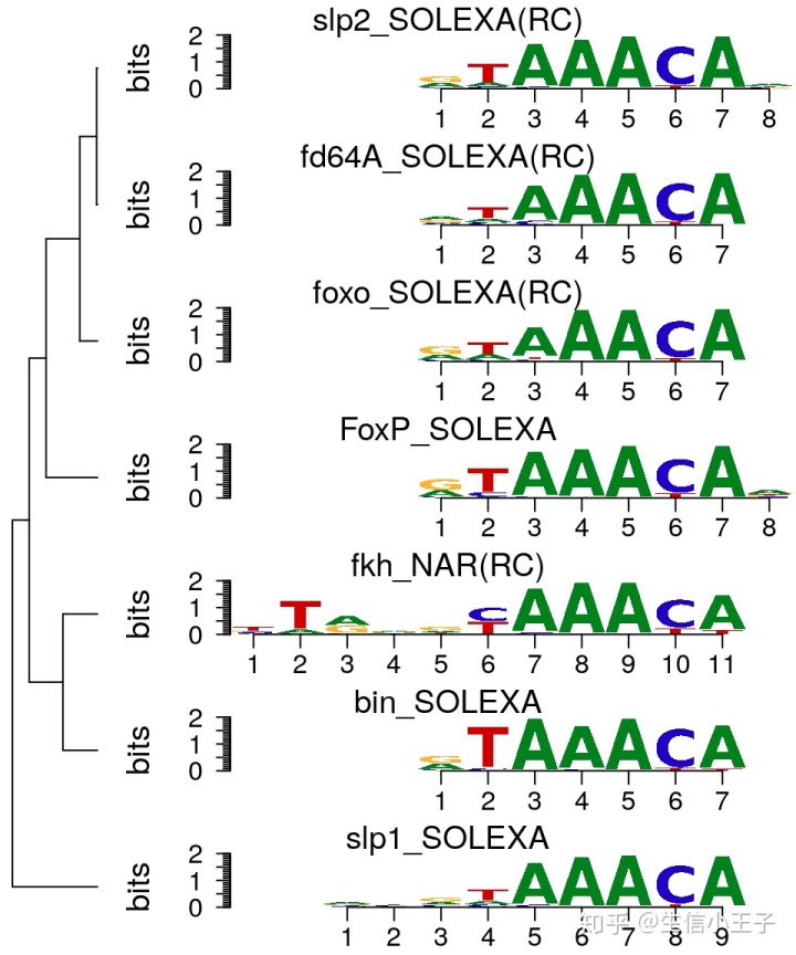 下拉菜单实现树状结构_motifStack | 绘制motif序列结构图-CSDN博客
