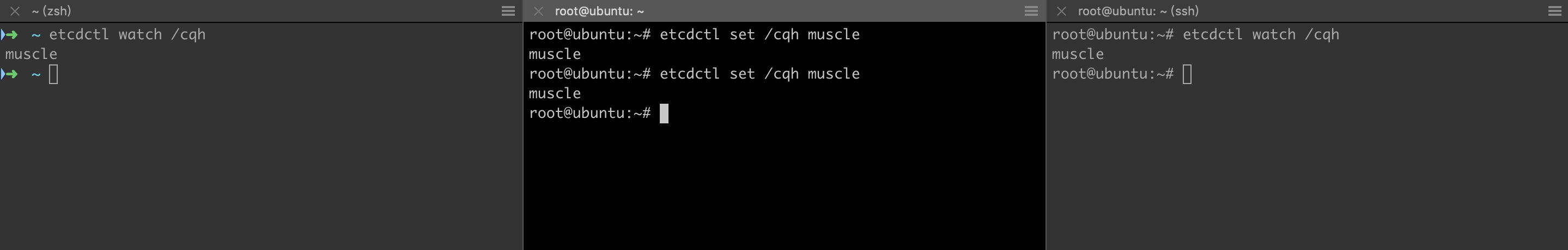 搭建和使用etcd_etcd listen-client-urls-CSDN博客