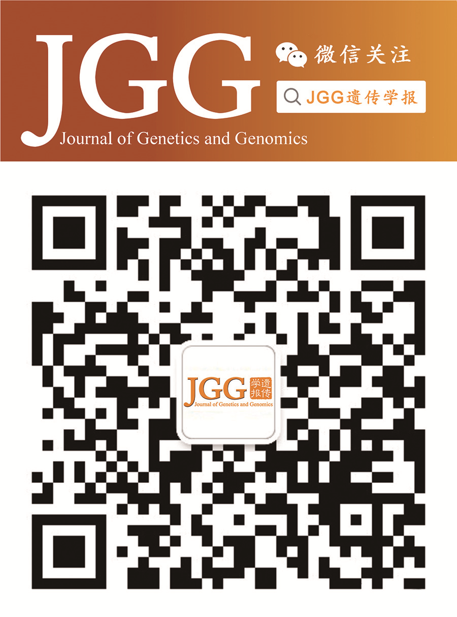 JGG｜中国科学院遗传发育所王国栋/白洋团队综述根部特异性代谢物介导的植物―微生物互作...-CSDN博客