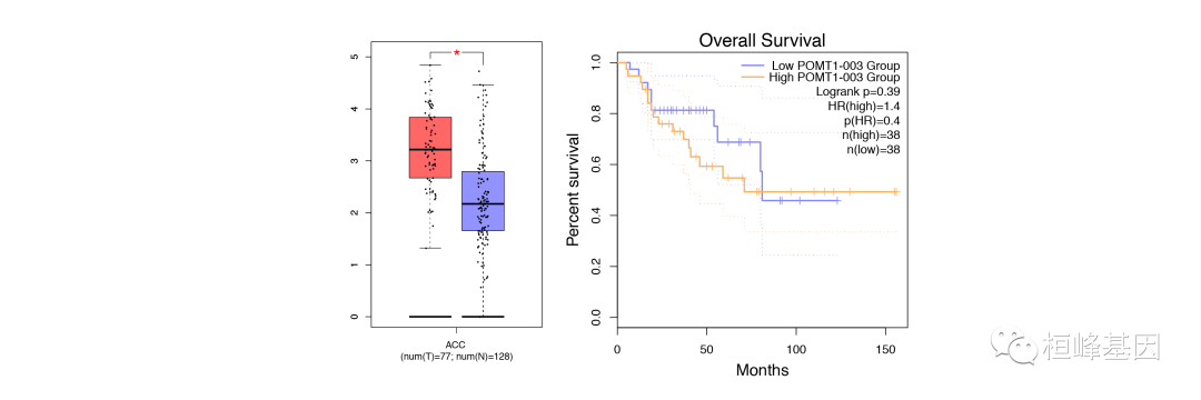 RNA 30. SCI文章中基于TCGA和GTEx数据挖掘神器（GEPIA2）-CSDN博客