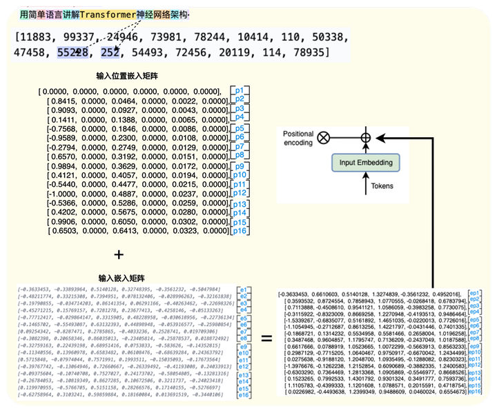 一文彻底搞懂Transformer的输入（附代码）_transformer输入-CSDN博客