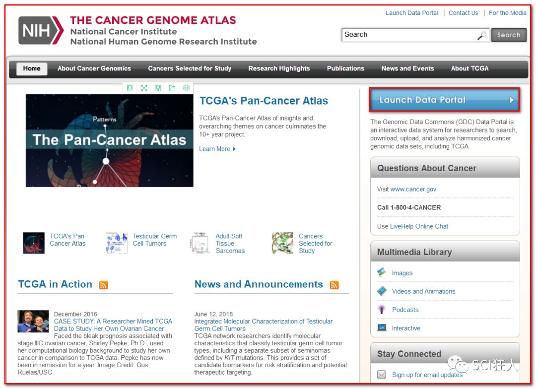 tcga数据下载_TCGA数据库甲基化数据下载简单到爆-CSDN博客