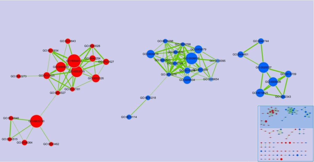 一文掌握GSEA通路富集分析，超详细教程！-CSDN博客