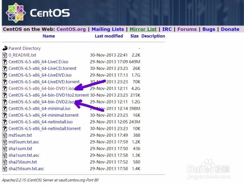从CentOS官网下载系统镜像详细教程_centos官网下载教程-CSDN博客