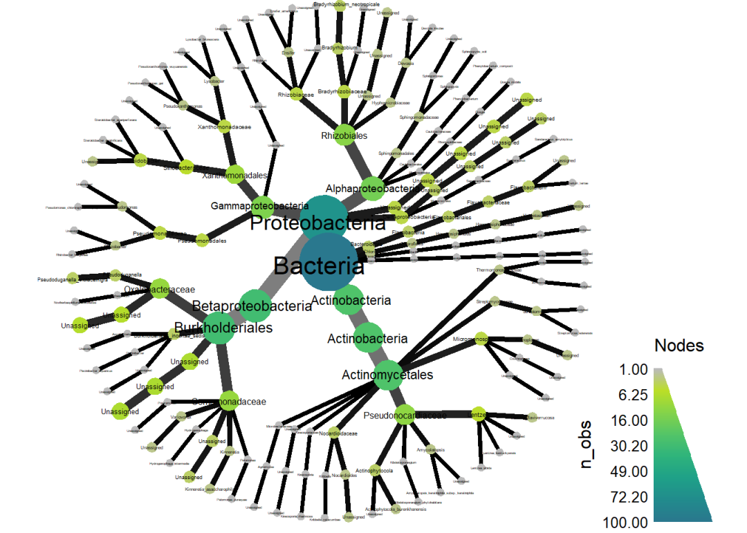 metacoder-相关进化树图的绘制于实践-CSDN博客