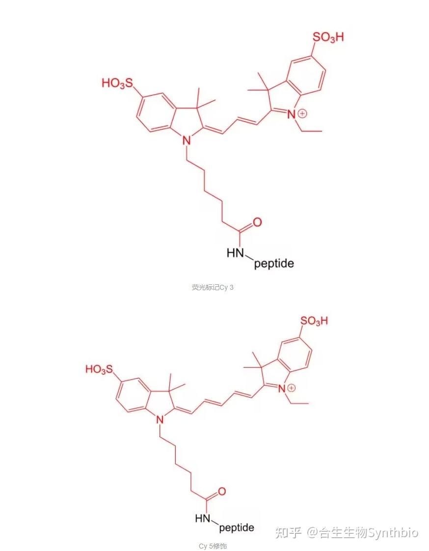 多肽合成荧光标记多肽FITC/AMC/FAM/Rhodamine/TAMRA/Cy3/Cy5/Cy7-Peptide常见基团介绍_fam修饰-CSDN博客