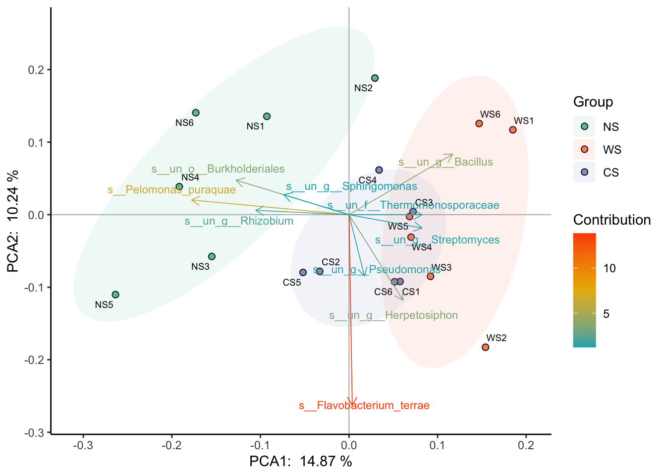 R微生物组分析流程（pctax包）_r语言 微生物组-CSDN博客