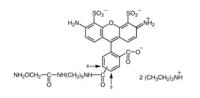 Alexa Fluor 488 hydroxylamine，Alexa Fluor 488 羟胺，可以作为细胞示踪剂和反应性-CSDN博客