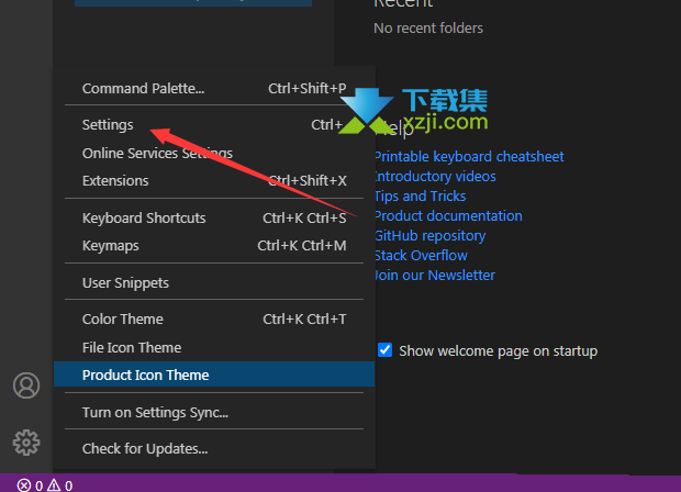 Visual Studio Code保护套设置方法_visual studio code xz-CSDN博客