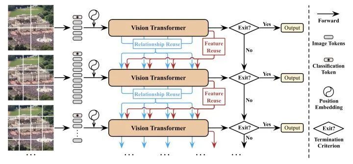 一文细数73个Vision transformer家族成员-CSDN博客