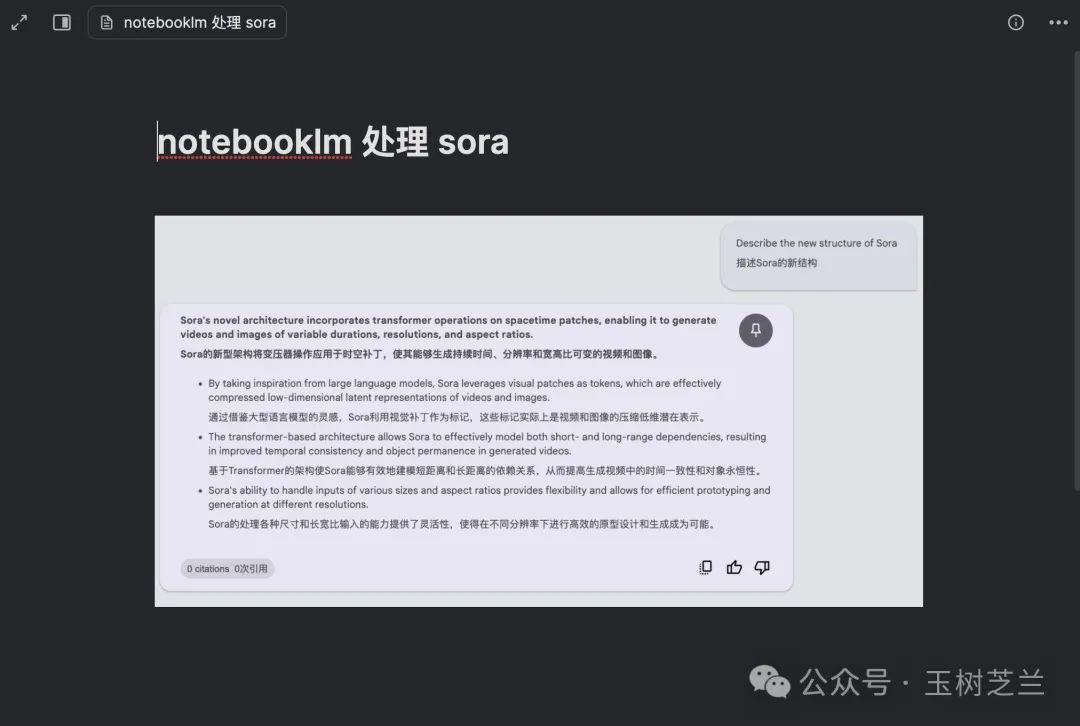 如何用 NotebookLM 综合分析多篇文献？-CSDN博客