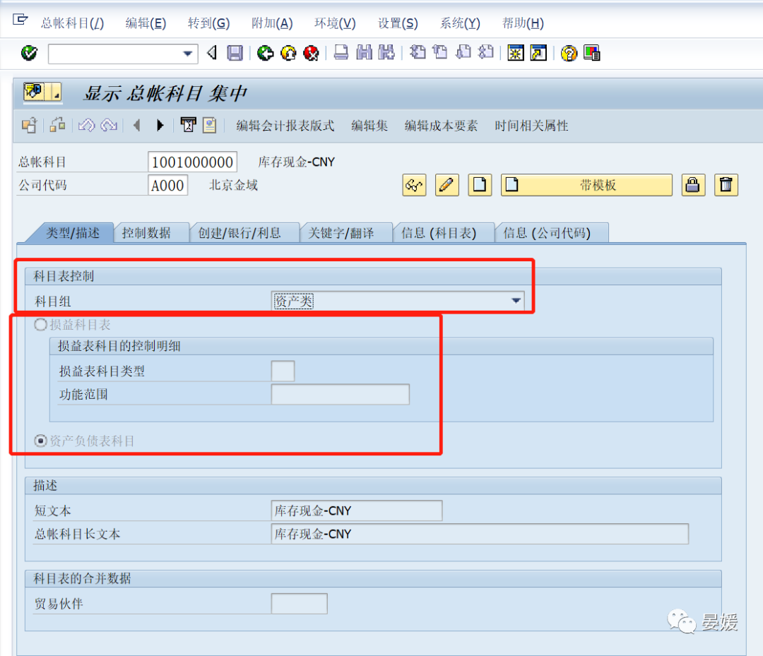 科目主数据科目表层和公司代码层 Csdn博客