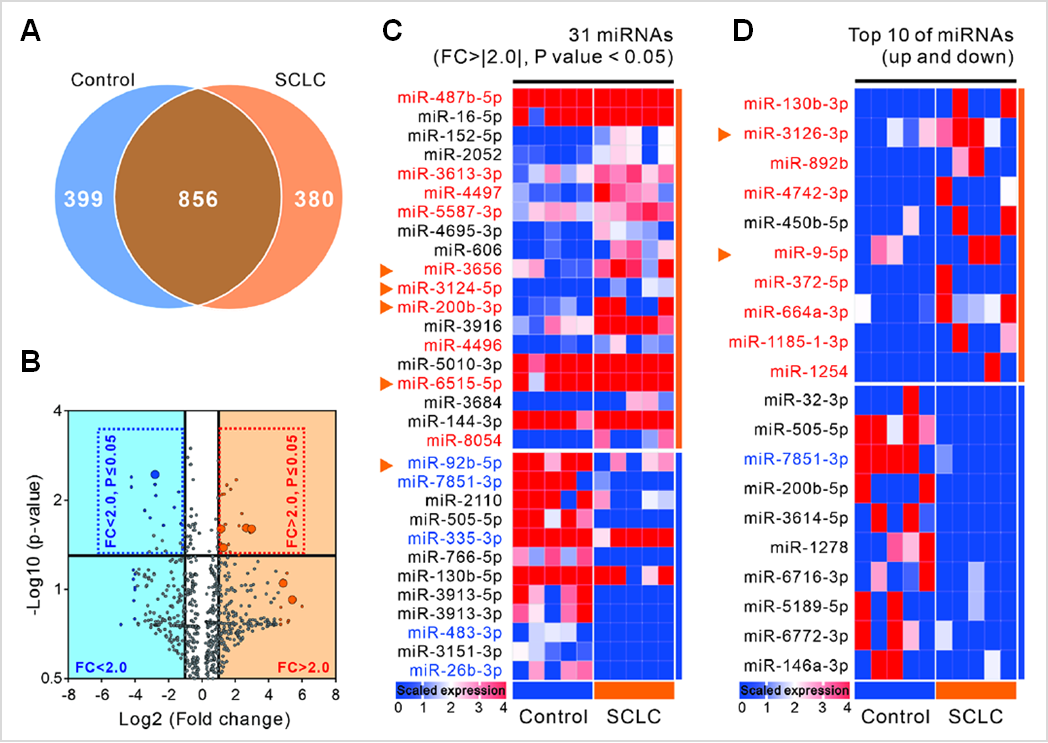 Biomark Res（IF=11.1）：血清外泌体miRNA作为小细胞肺癌诊断和预后生物标志物_肺癌 外泌体mirna 数据库筛选-CSDN博客