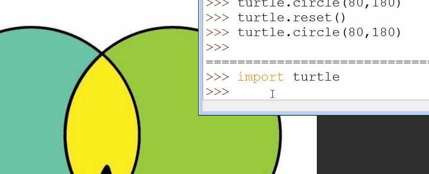 msdn画圆弧函数_乌龟教你Python编程——“玫瑰花”是怎么画的！-CSDN博客