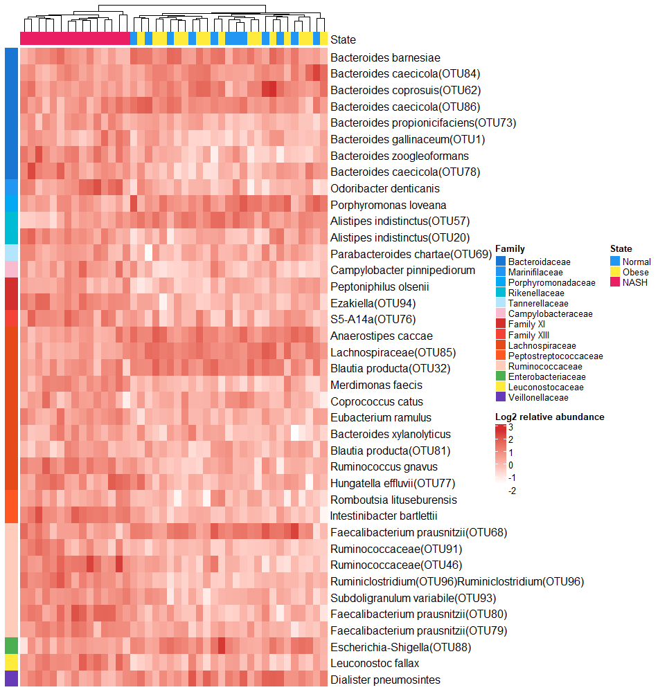 跟着iMeta学做图｜ComplexHeatmap包绘制热图展示不同样本物种相对丰度-CSDN博客