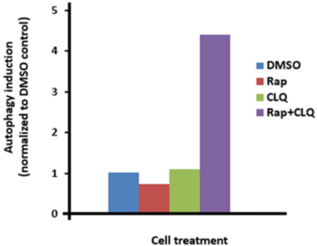 ENZO—CYTO-ID® Autophagy Detection Kit 2.0自噬检测试剂盒2.0版_自噬通量检测试剂盒-CSDN博客