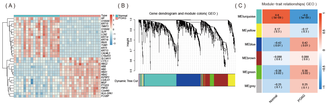 iMetaOmics | 中南大学夏晓波团队揭示青光眼和SLE发病机制新关联-CSDN博客