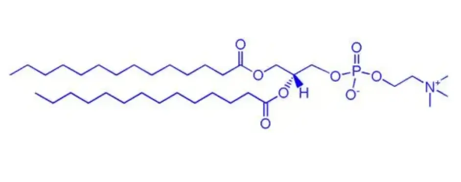 DMPC-DSPE-PEG/mPEG/PEI 二肉豆蔻酰磷脂酰胆碱-磷脂-聚乙二醇/聚乙烯亚胺-CSDN博客