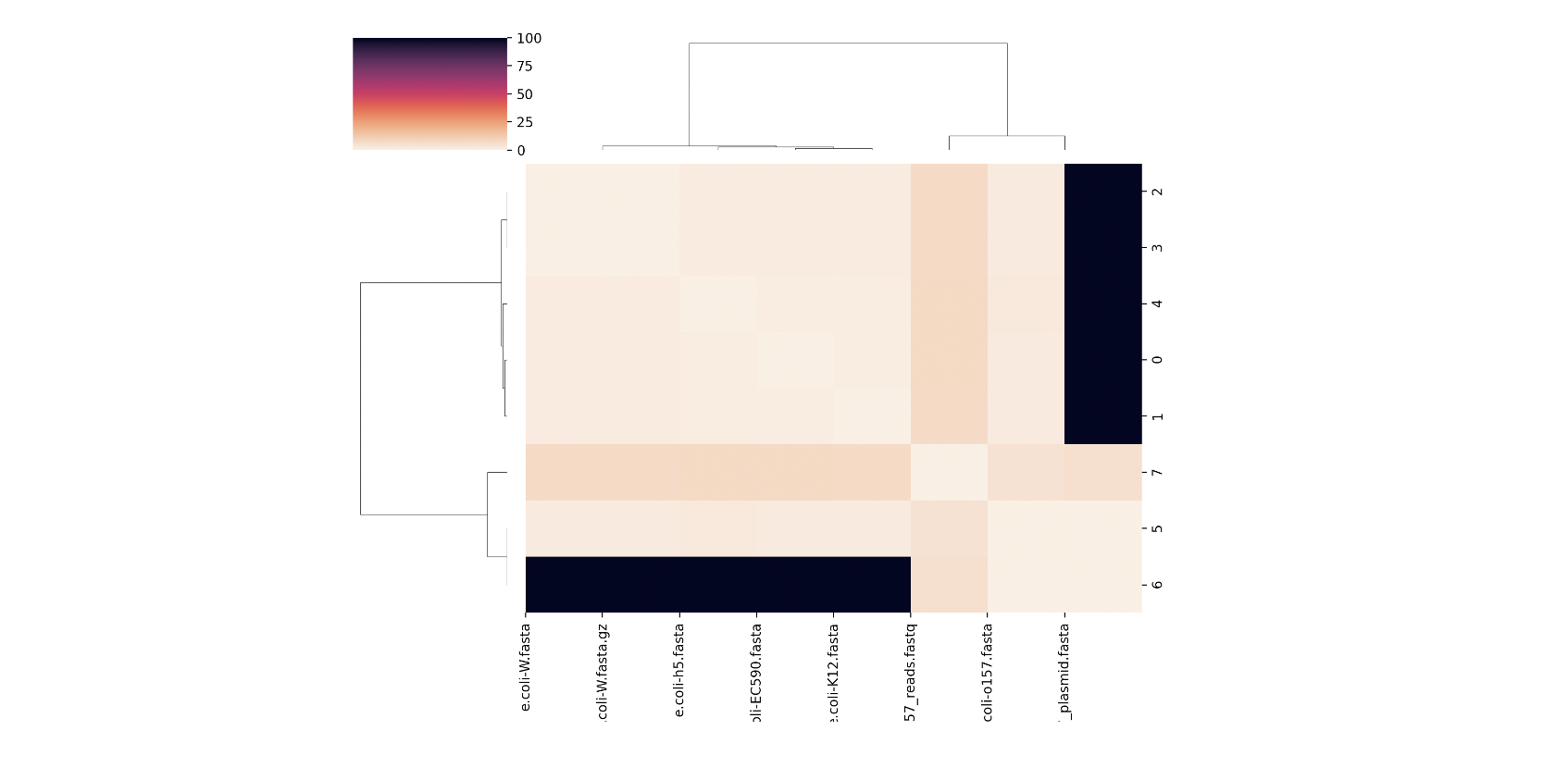 使用FastANI与Skani计算平均核苷酸一致性(ANI)-CSDN博客
