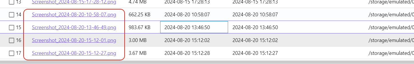 2024年美亚杯（MeiyaCup2024）资格赛writeup_2024美亚杯个人赛writeup-CSDN博客