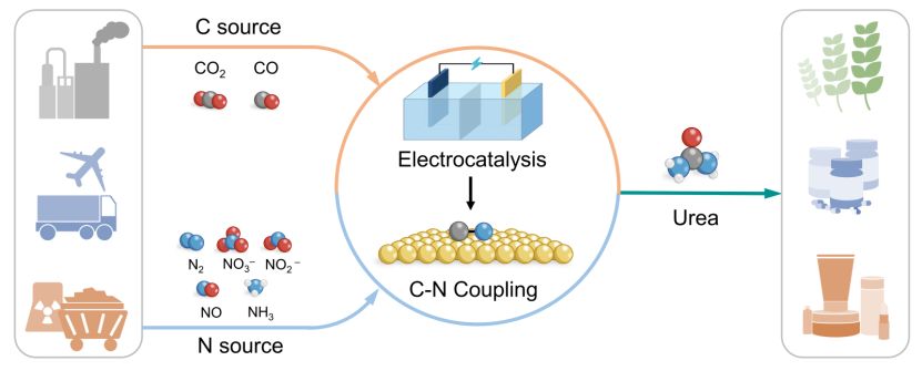 寇良志AFM|理论模拟加速尿素电化学合成-CSDN博客