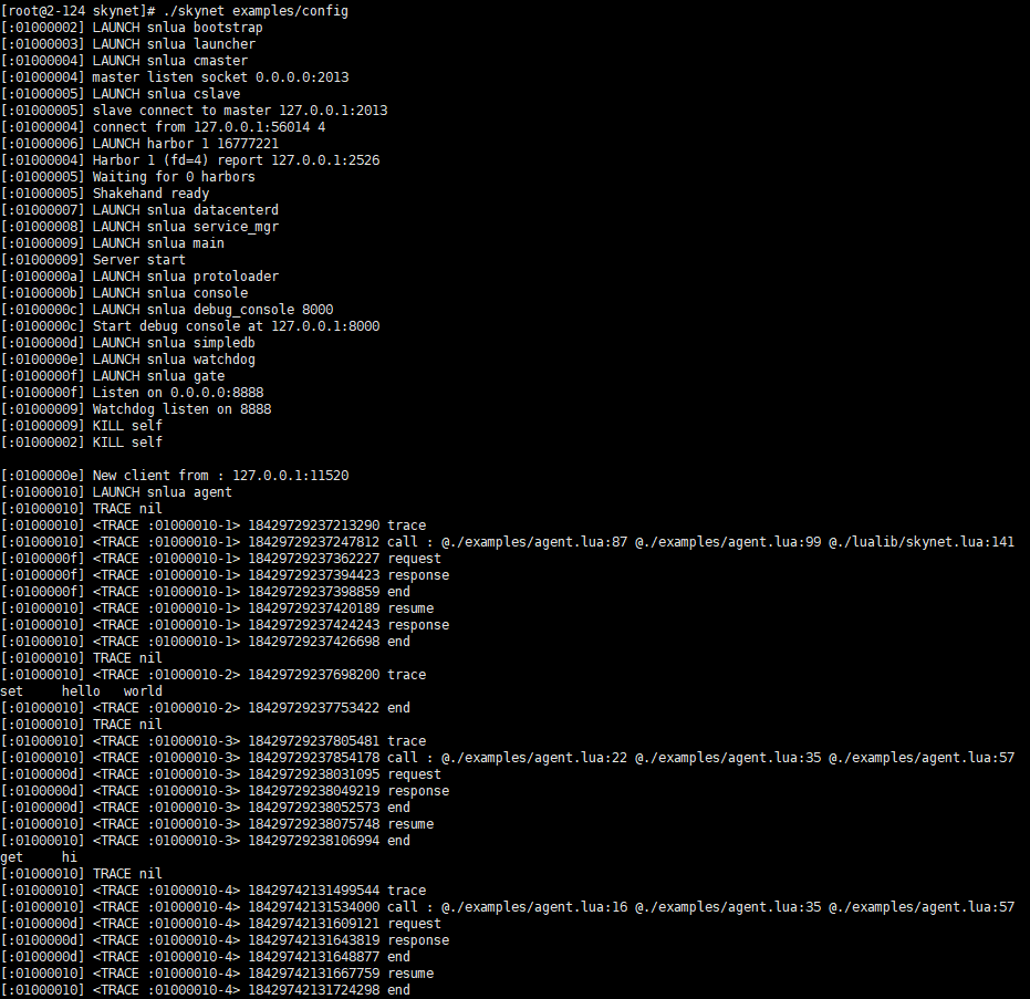 Skynet学习笔记（三）编译运行_skynet 执行lua文件-CSDN博客