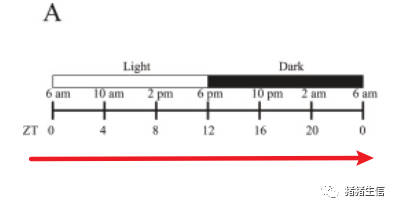 R语言Mfuzz包：分析时间序列的组学数据-CSDN博客