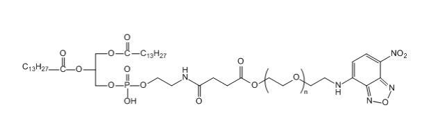 DMPE PEG NBD，DMPE PEG Biotin，DMPE-PEG-Mal等三者，主要从其反应原理及结构式整理内容如下_dmg-peg-mal结构-CSDN博客
