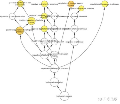 mirna富集分析_信号通路分析神器——OmniPath插件-CSDN博客