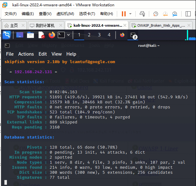 使用Skipfish检测安全漏洞-CSDN博客