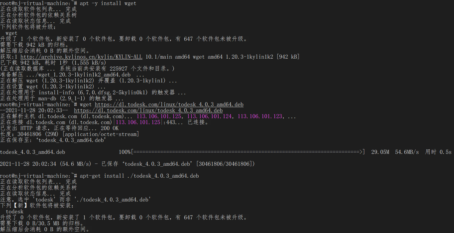 （linux-x86-arm）银河麒麟V10安装ToDesk远程控制_todesk linux-CSDN博客