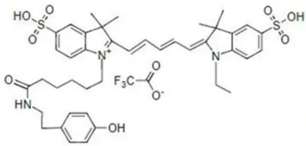 一种具有出色荧光性能的菁类染料，Cy5 tyramide，能够与各种抗体进行有效的结合-CSDN博客